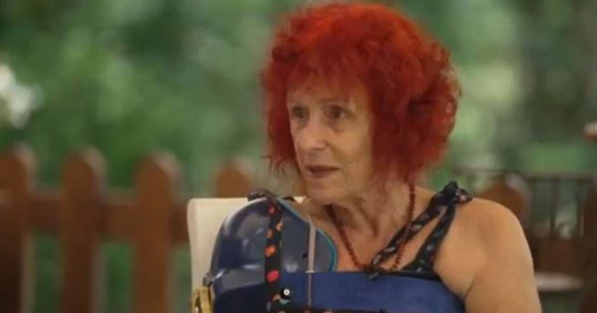 'A arte salva': Roseana Murray recorda ataque de cães e conta sobre ...