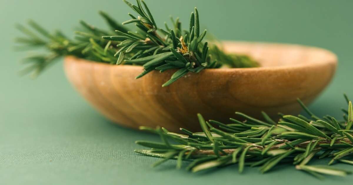 8 benefícios do alecrim para a saúde e como utilizá-lo