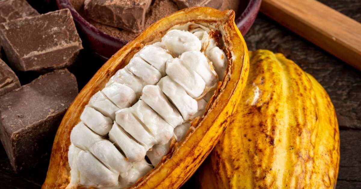 7 benefícios do cacau para a saúde e como consumi-lo