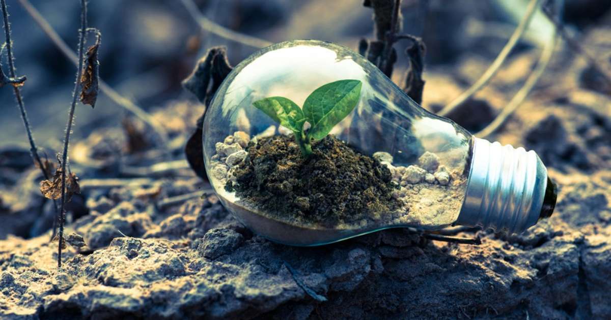 Dia da Terra: reflexões e ações para um Mundo mais sustentável