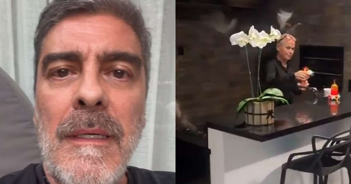 Junno defende Xuxa Meneghel após ataques por alimentar morcegos: 'Tem ...