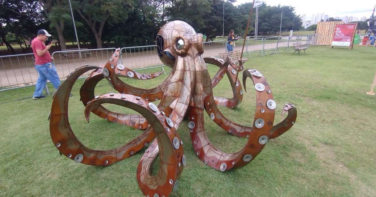 “Achavam que era brinquedinho”, diz artista que recicla na maior ...