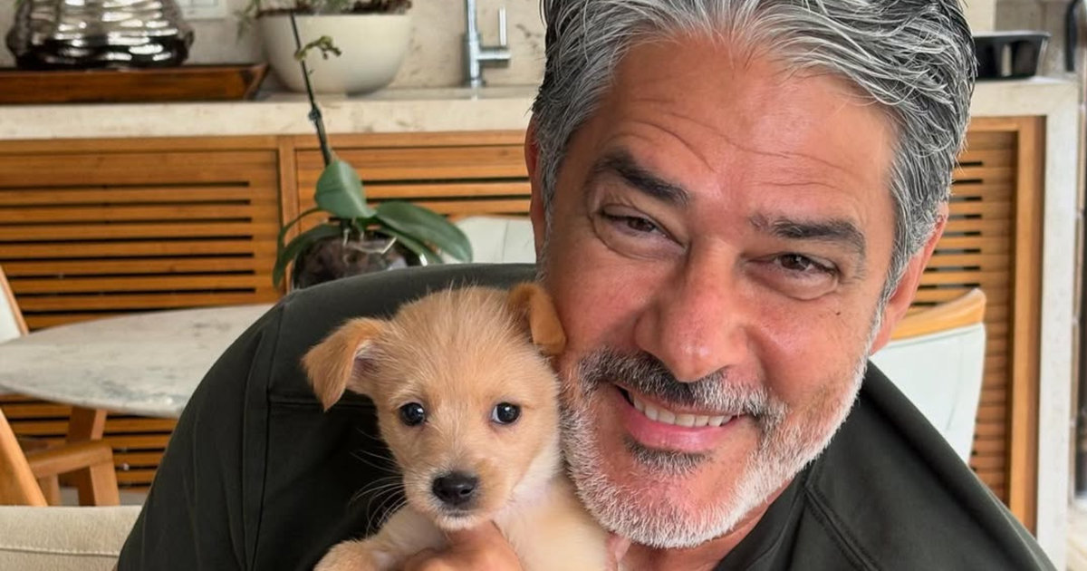 William Bonner posa com o cachorro da filha, Bruce William, e web ...