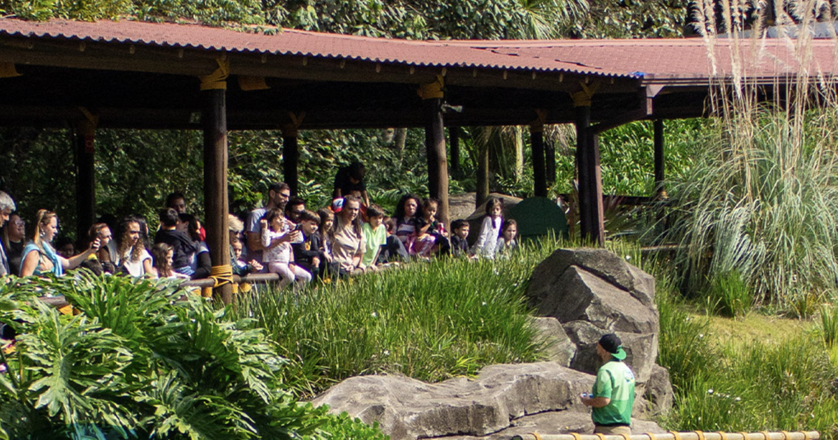 Como melhor aproveitar o Animália Park, um passeio que une parque de ...