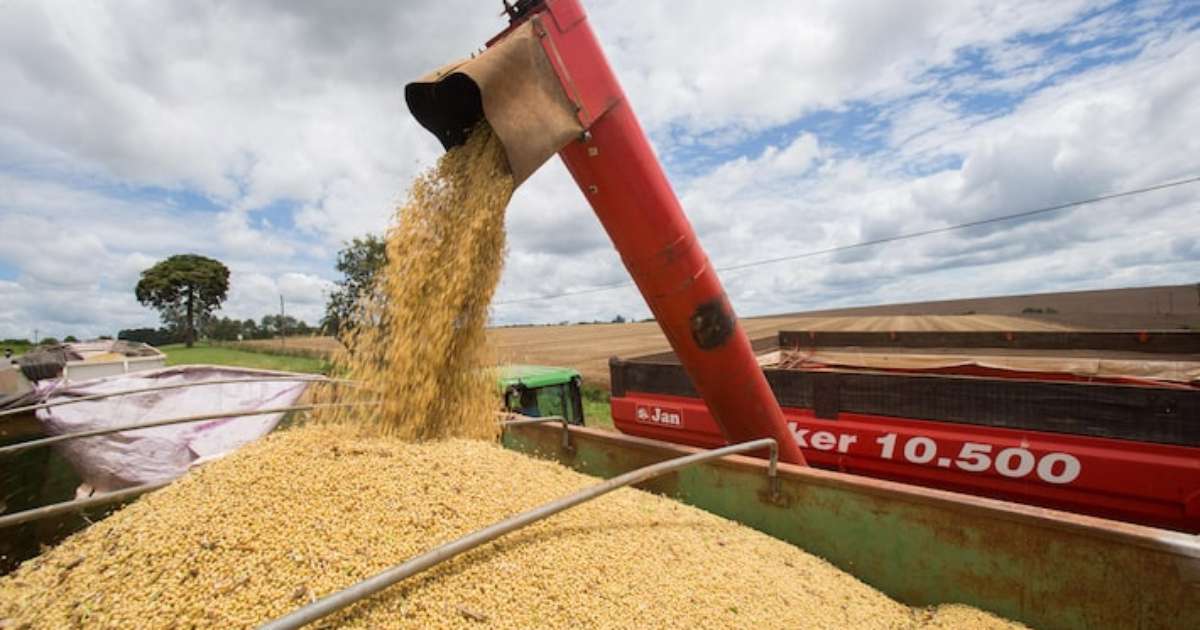 PIB do Brasil pode diminuir em 0,4 ponto porcentual no curto prazo com ...