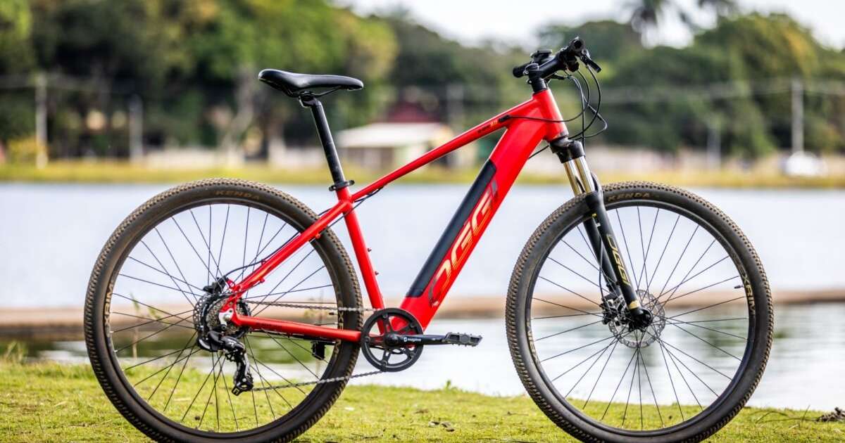 Bicicleta evita CO₂ e ajuda a tornar cidades mais sustentáveis