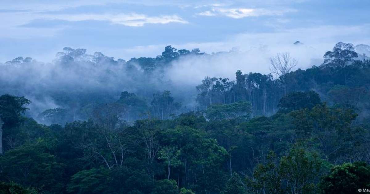 Akakor: a lenda da cidade perdida na Amazônia