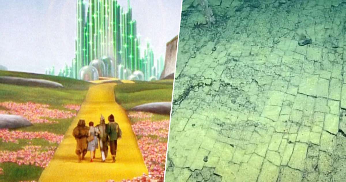 Encontramos outra estrada de tijolos amarelos; em vez de Oz, ela está nas profundezas do mar