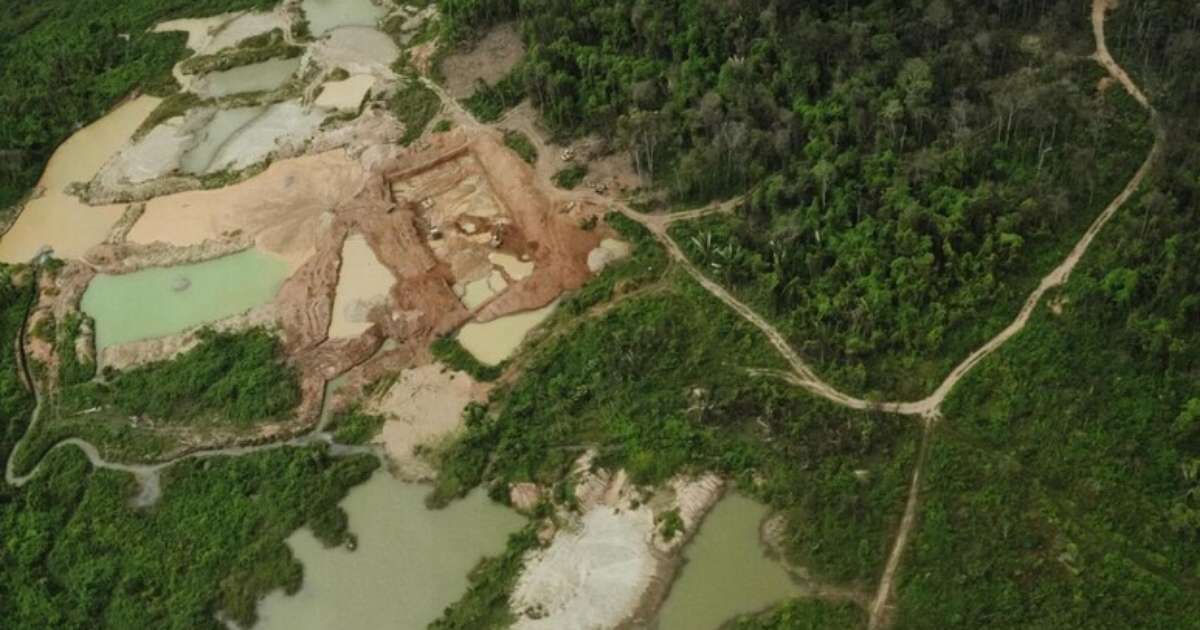 Cúpula da Amazônia define medidas para proteger região