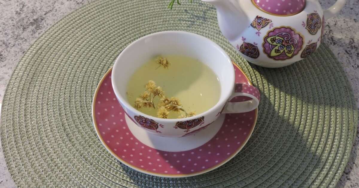 6 chás com marcela e seus benefícios para a saúde