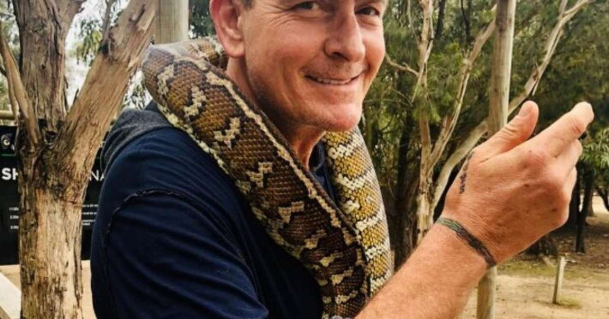 Astro de 'Two And A Half Man' fala sobre vício em drogas e bebidas alcóolicas