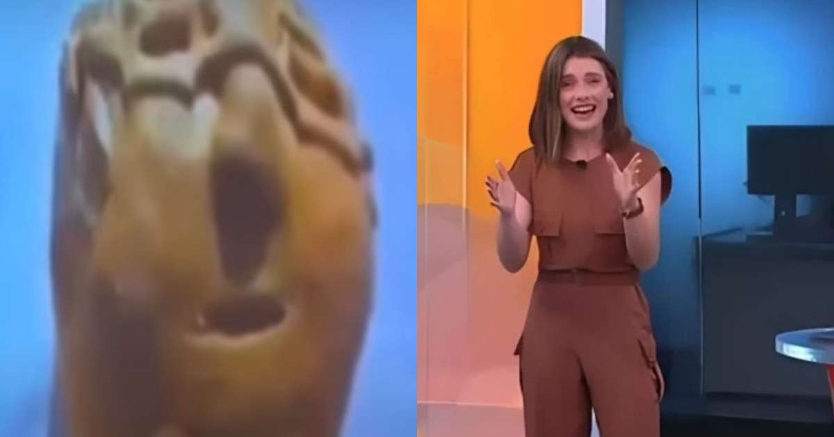 Bolo curioso do papa Leão 14 faz âncora da CNN Brasil cair na risada ao vivo