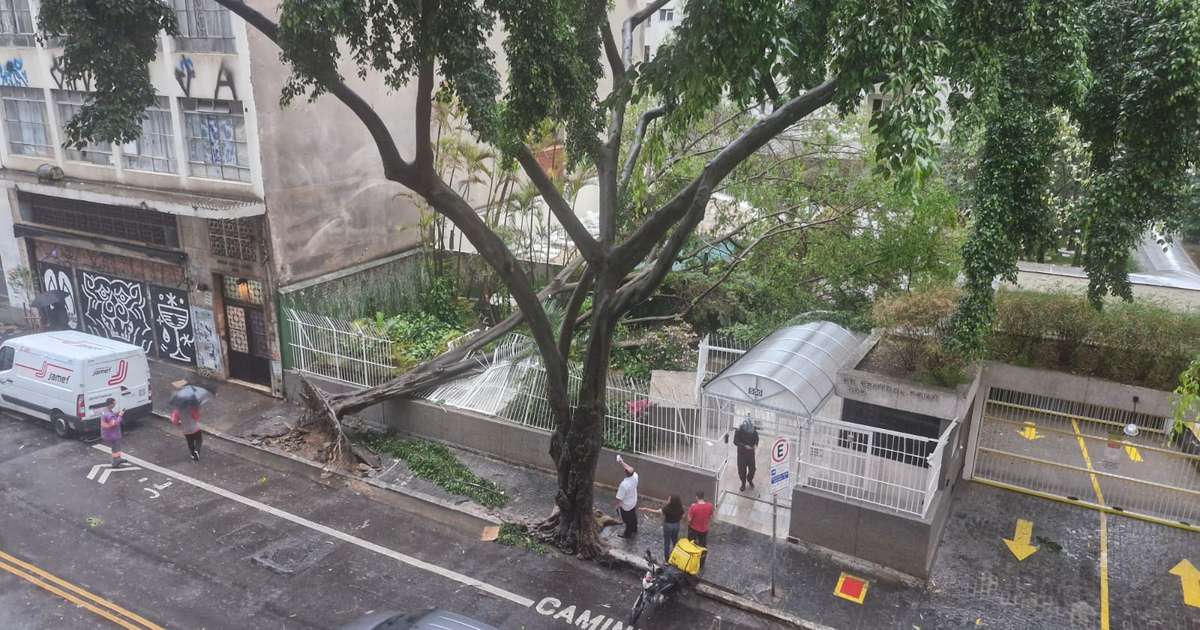 Temporal derruba árvores, deixa 900 mil sem luz e provoca enchentes em ...