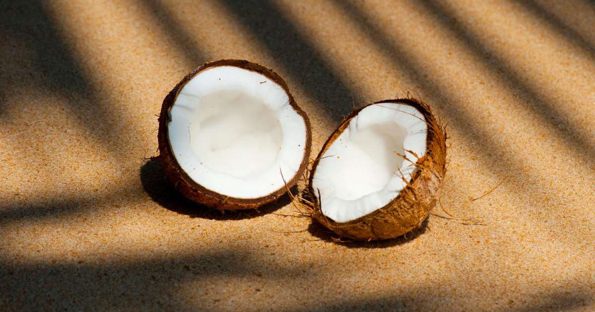 Adoçante natural: conheça os benefícios do néctar de coco