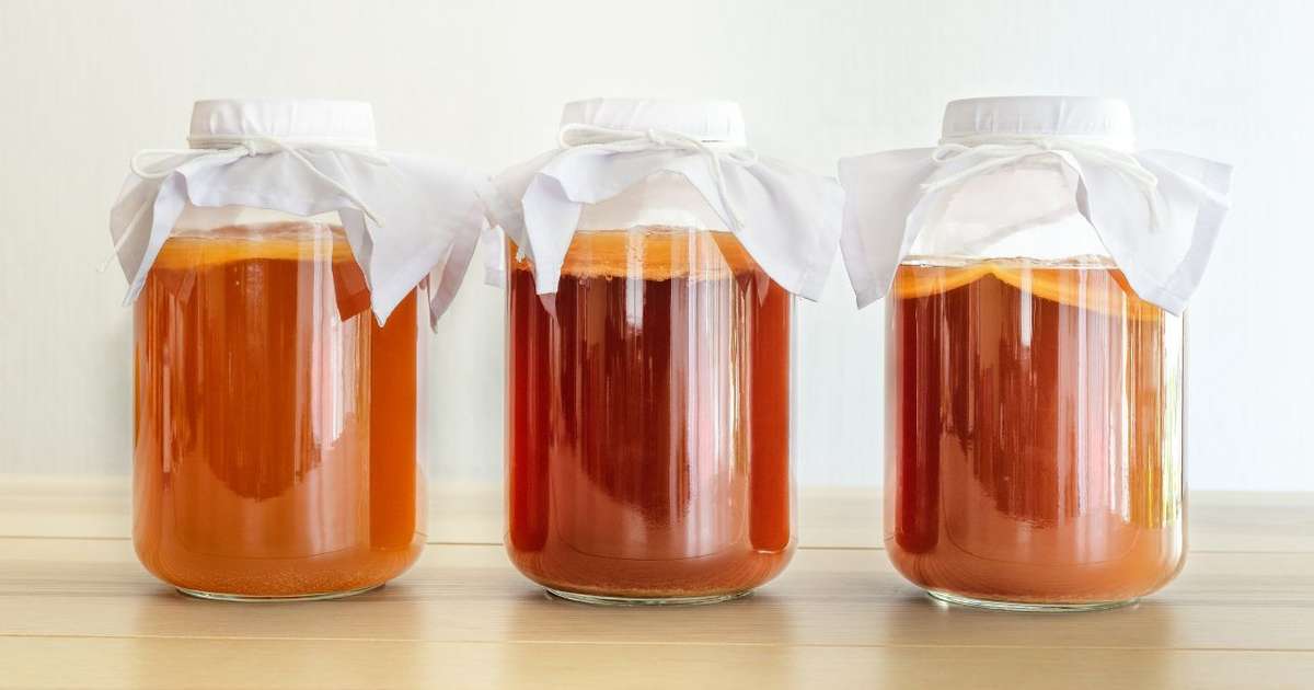 O que é o kombucha e quais são seus benefícios para a saúde?