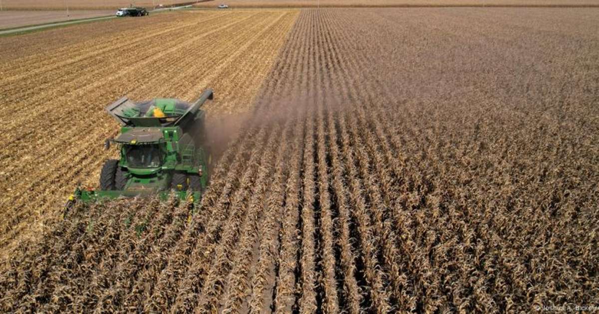 Agroterrorismo: como a IA transforma a biotecnologia em arma