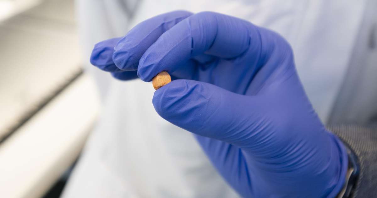 Nova droga mais tóxica que fentanil é identificada no Brasil pela Unicamp