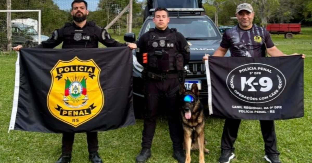 K9 da Polícia Penal gaúcha conquista título internacional em competição ...