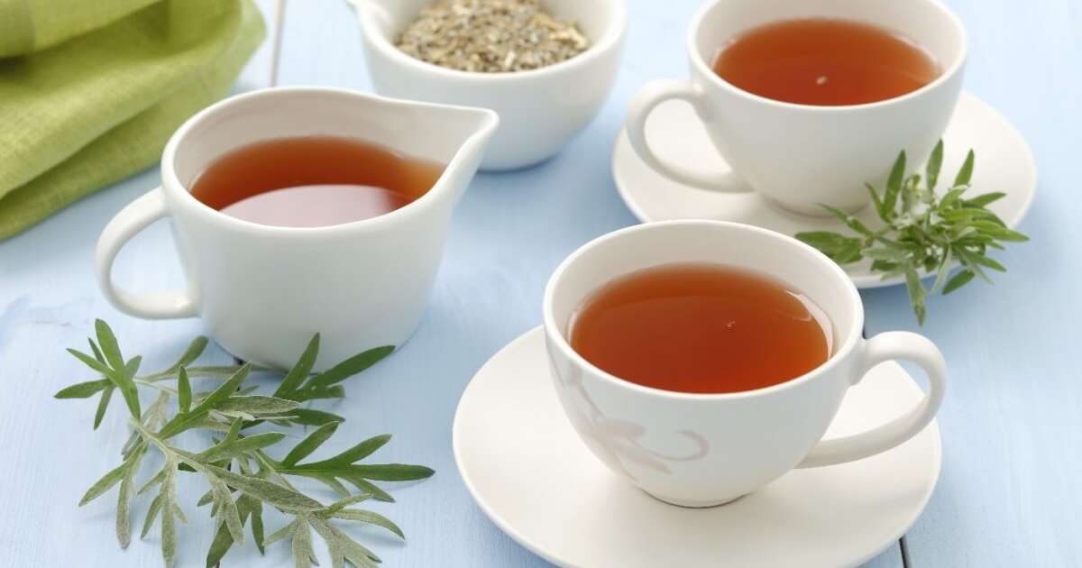 6 receitas de chá de losna e seus benefícios para a saúde