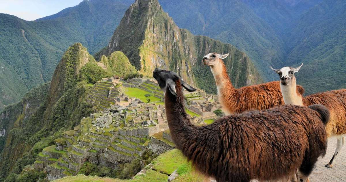 Machu Picchu: Como planejar a viagem dos sonhos ao santuário inca