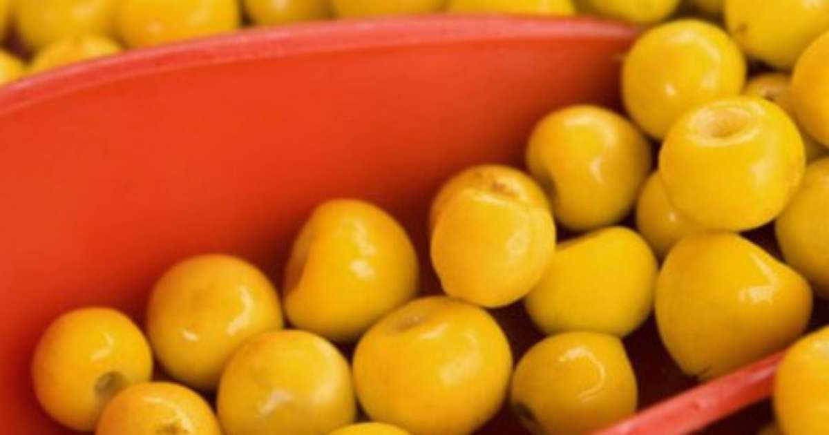 Você conhece o nanche? 6 motivos para incluir o fruto na sua dieta