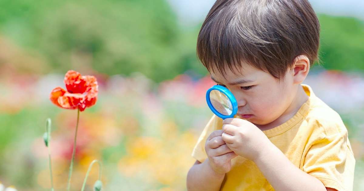 A importância da curiosidade para a longevidade cognitiva