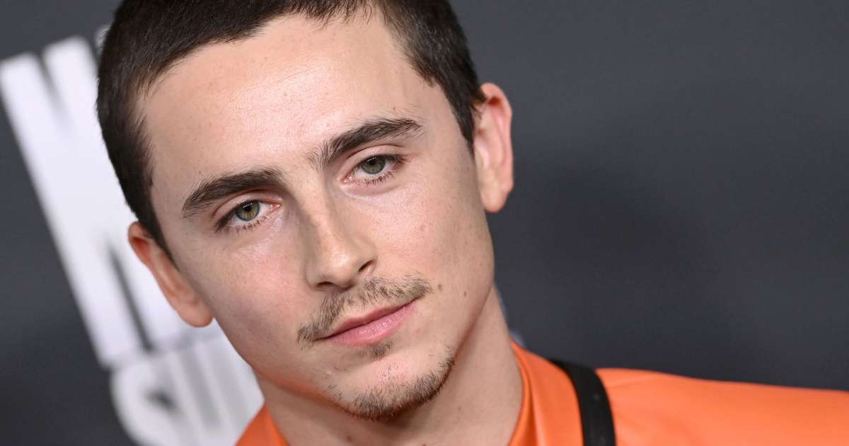 Timothée Chalamet finalmente responde se é rapper misterioso