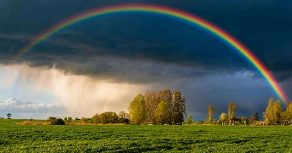 Por que os arco-íris são circulares?