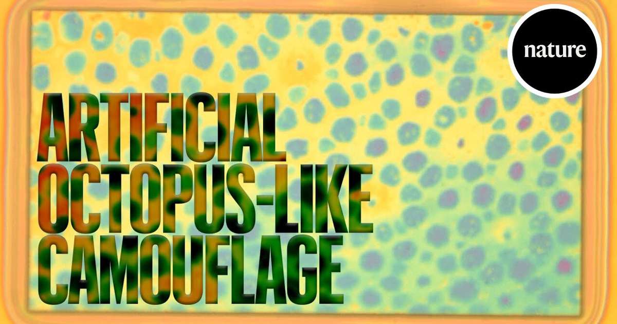 Parece ficção científica, mas é real: Stanford cria pele artificial que ...