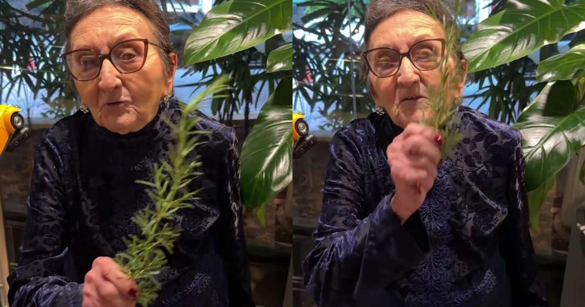 Tânia Maria aposta em simpatia para 'O Agente Secreto' ser indicado ao ...
