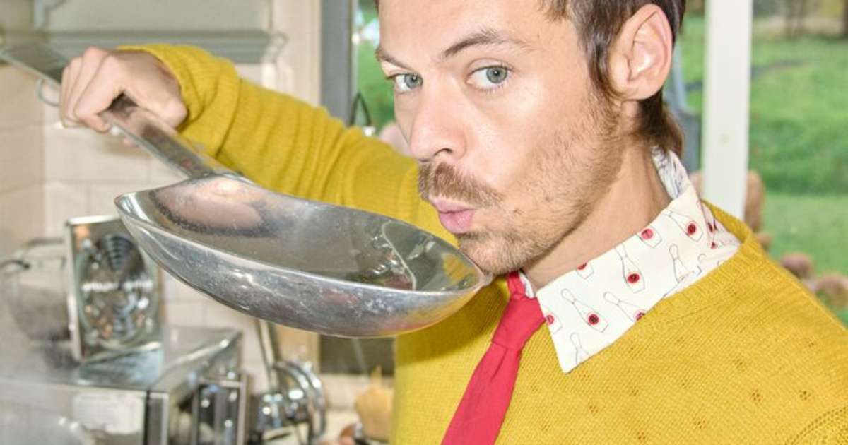 Harry Styles em SP: Deputados pedem investigação sobre ação de ...