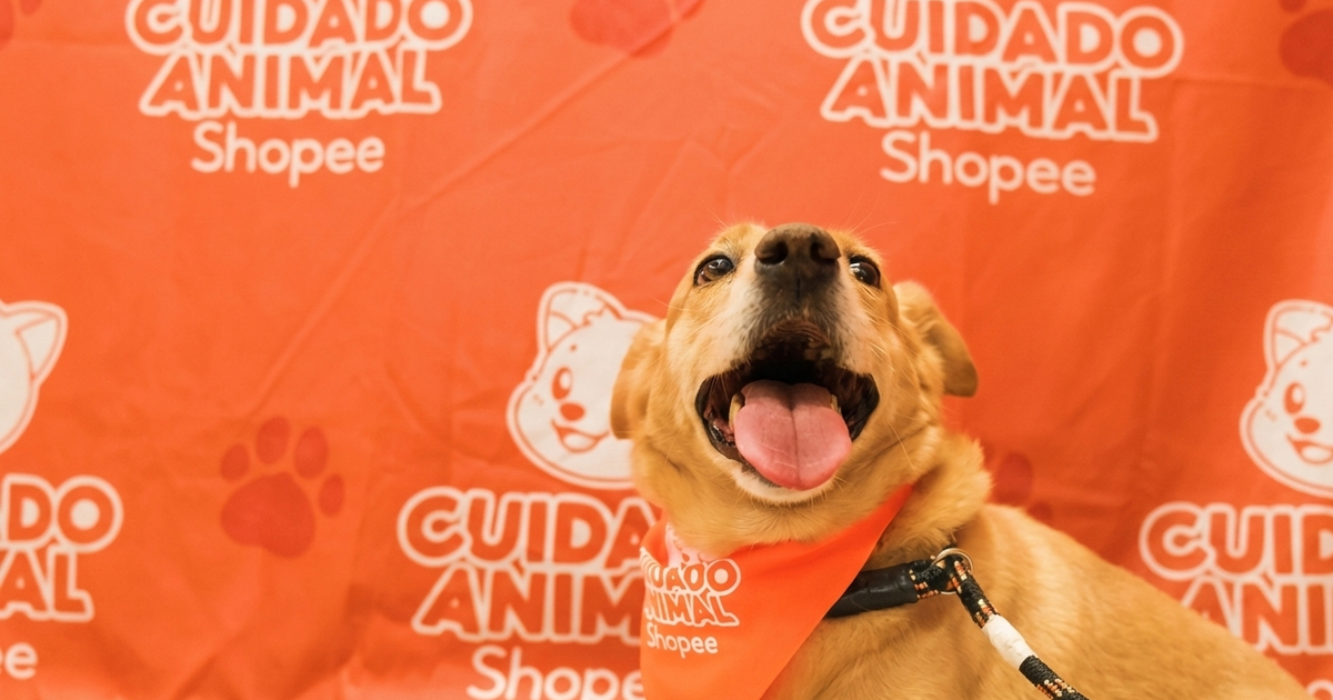 Shopee se une à Ampara Animal pelos cuidados aos animais