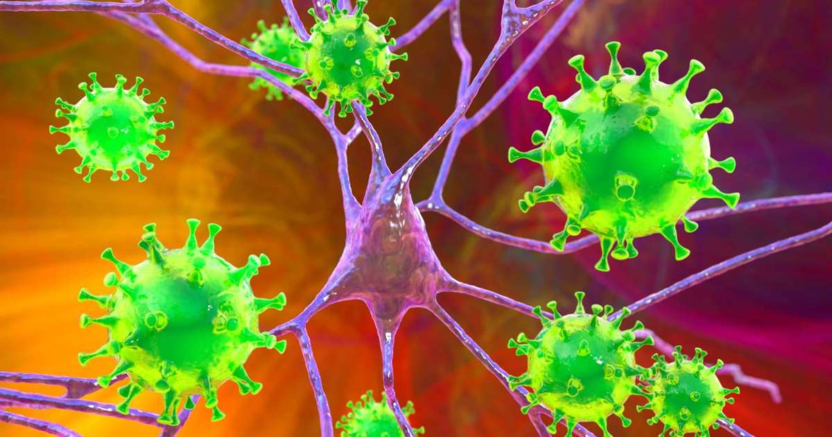 Vírus Nipah: sintomas, transmissão e por que o mundo está atento