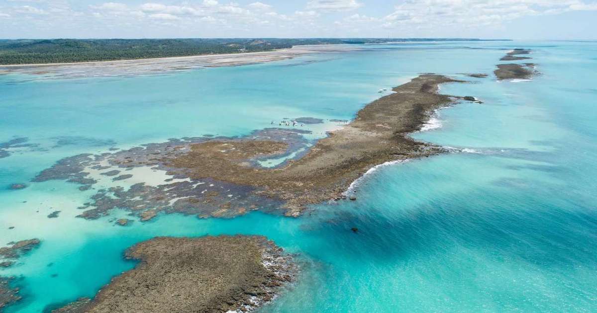 Costa dos Corais: guia de praias para conhecer entre Maceió e Recife