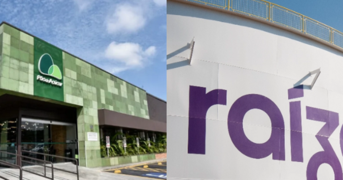 Grupo Pão de Açúcar e Raízen em recuperação: o que explica quebra de ...