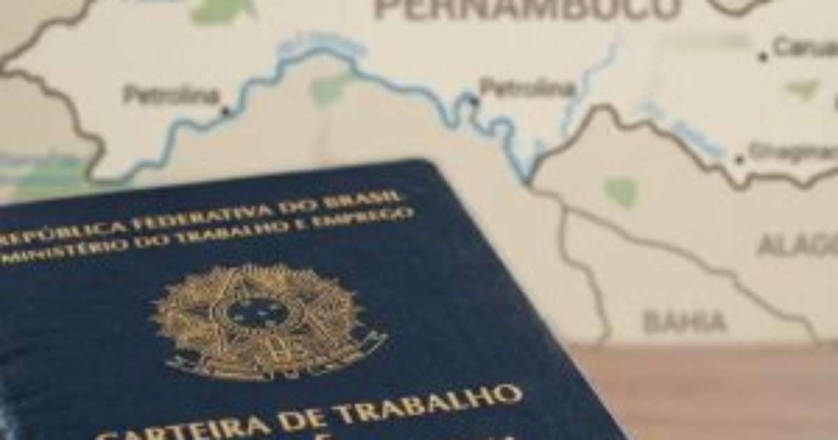 Sedepe oferta mais de 700 vagas de emprego nesta quinta-feira (14 ...