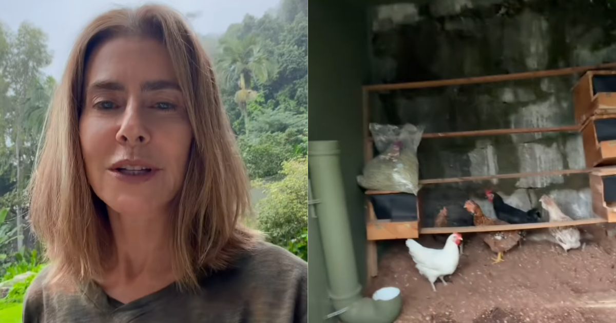 Maitê Proença mostra vida no campo após vender apartamento por mais de ...
