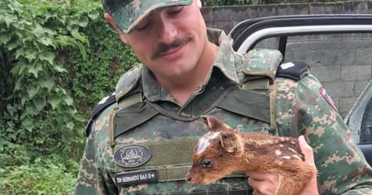 Tenente da PM viraliza ao compartilhar resgates de animais em Minas Gerais