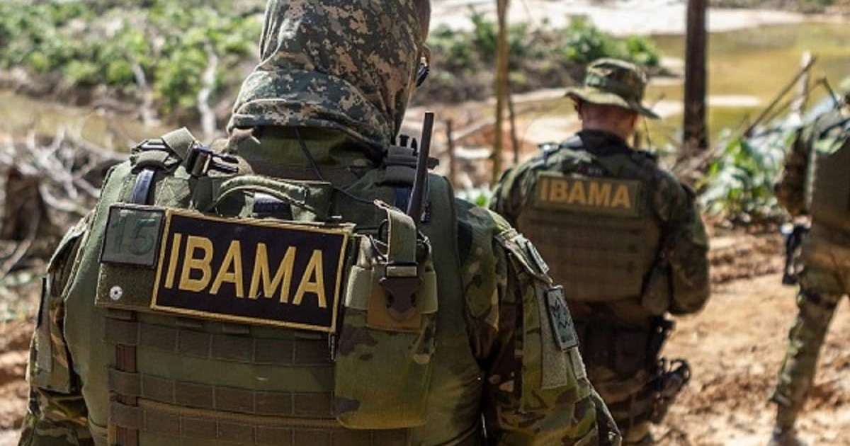 Ibama demite ex-superintendente investigado por suposto desvio de aves ...