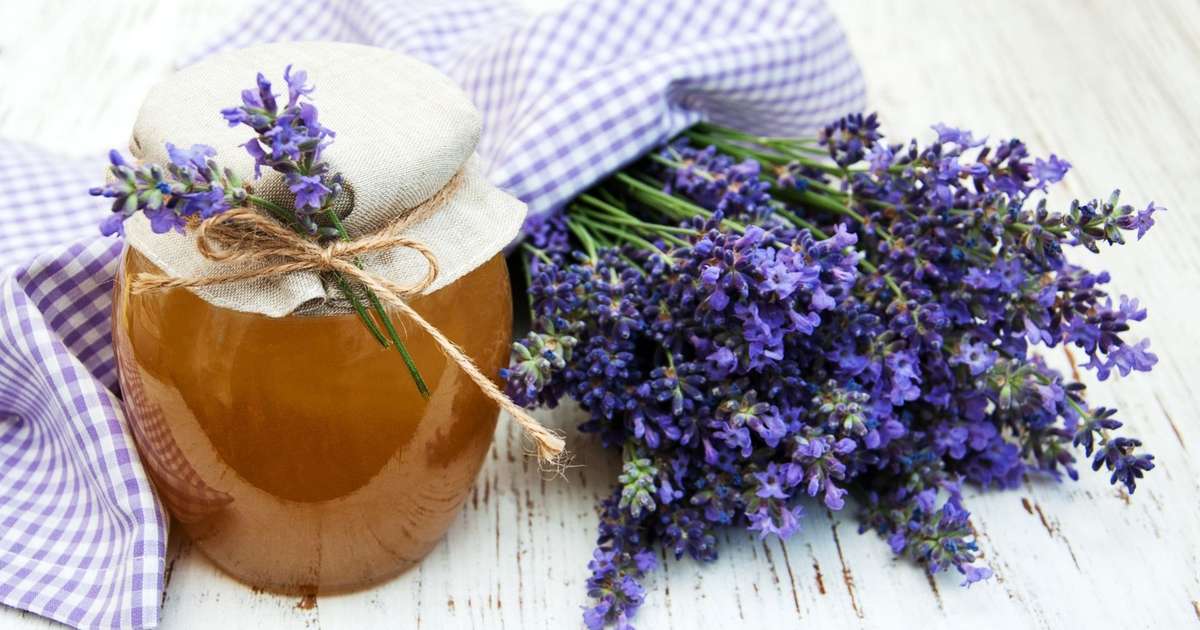 Cansou de relações tóxicas? Rituais com mel e lavanda ajudam a ...