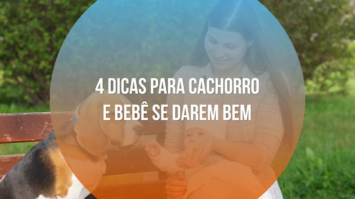 4 dicas para cachorro e bebê se darem bem