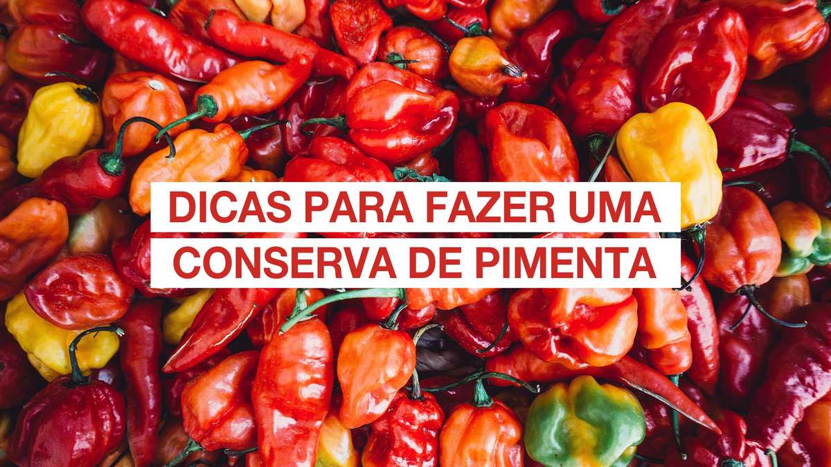 Dicas para fazer uma conserva de pimenta