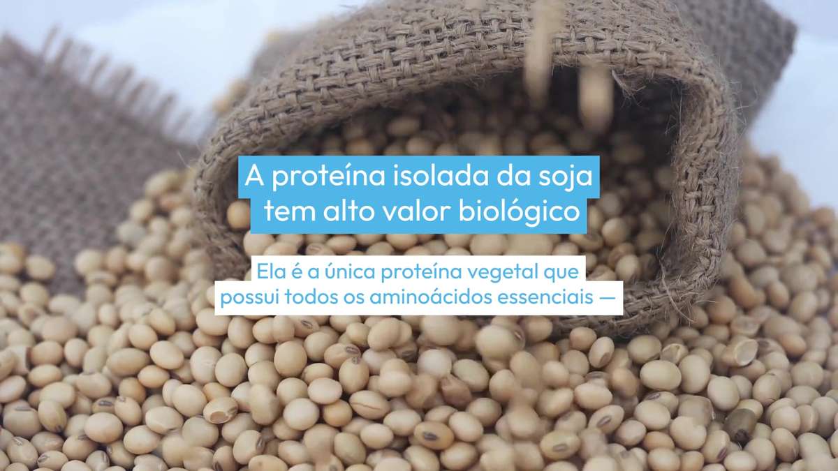 Proteína de Soja tem ou não tem benefícios? Saiba mais