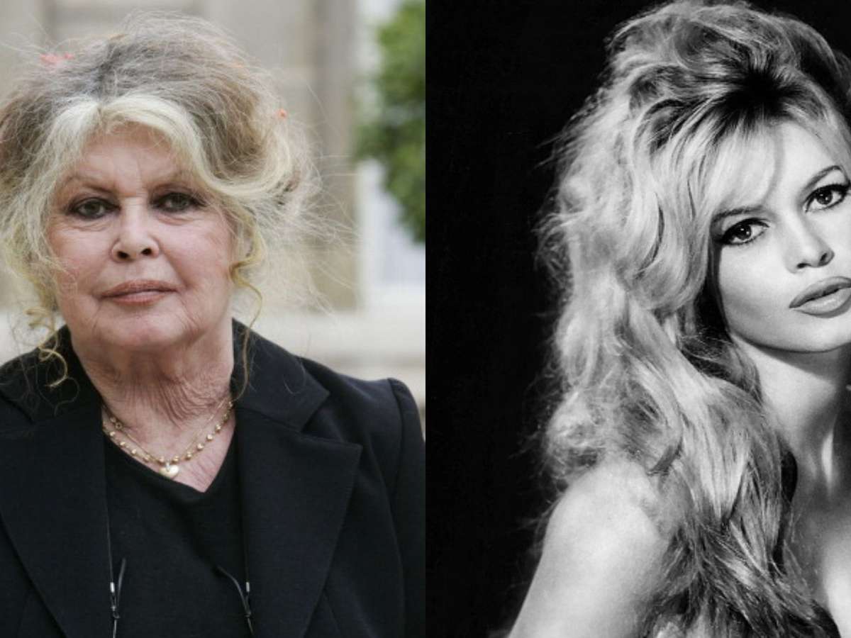 Brigitte Bardot é socorrida por bombeiros após sofrer problemas ... Brigitte Bardot é socorrida por bombeiros após sofrer problemas ...