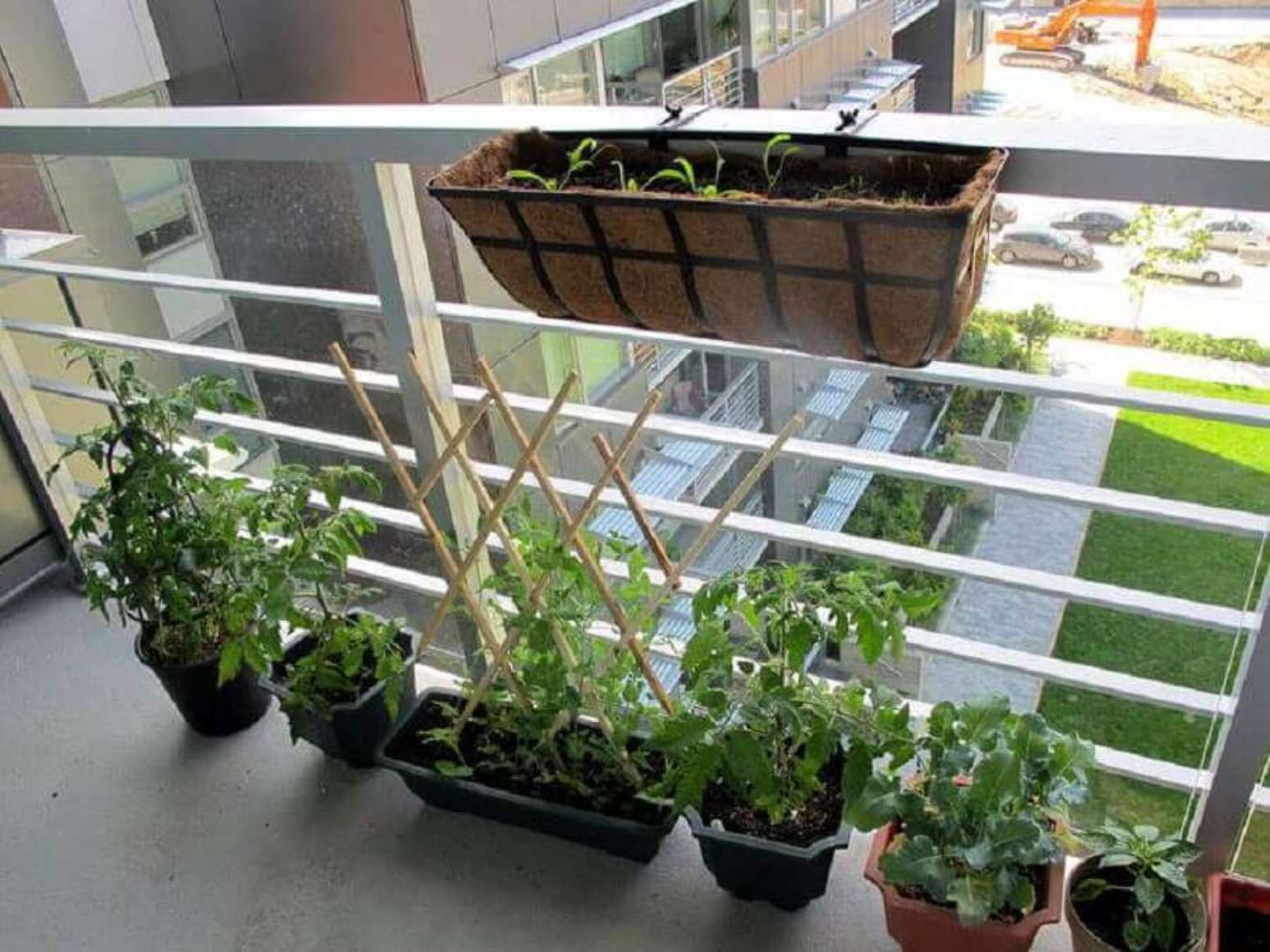 Horta em apartamento: veja 40 sugestões que vão te inspirar