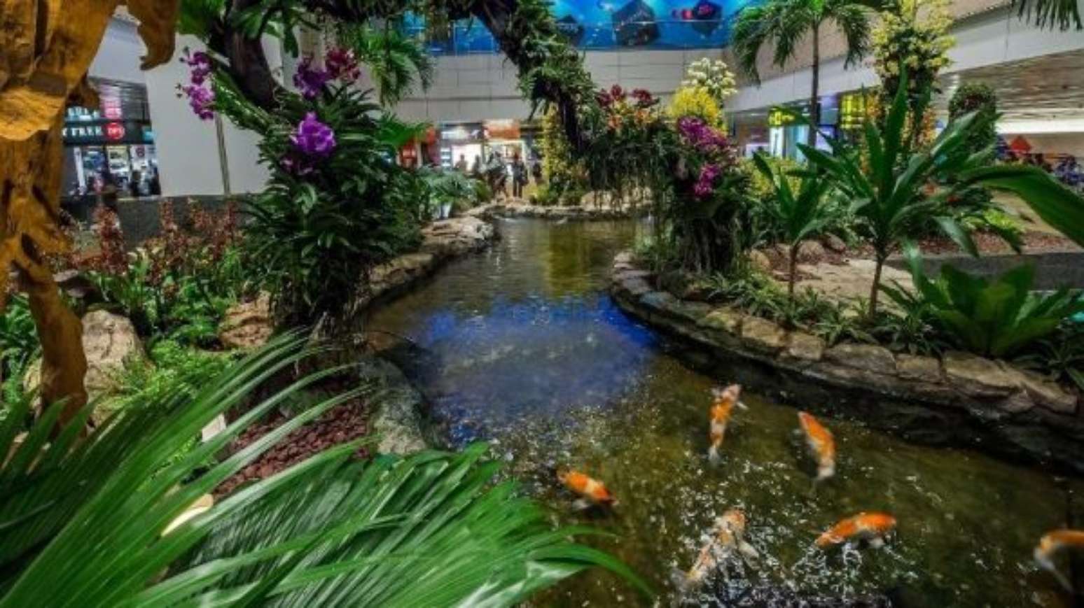 Lago Artificial: Como Fazer, +50 Modelos para se Inspirar