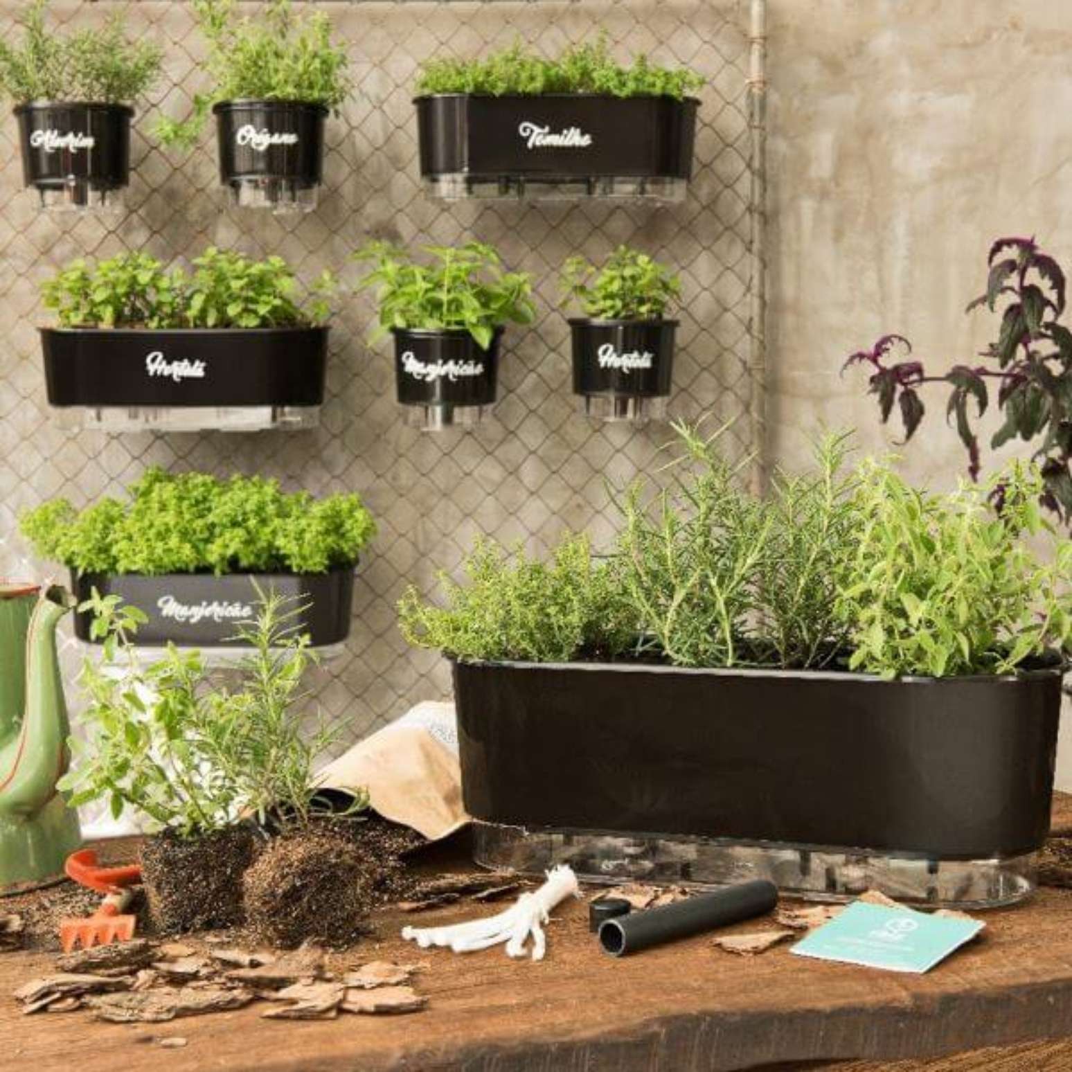 Horta no Quintal: Como Fazer, +45 Ideias para Fazer na sua Casa