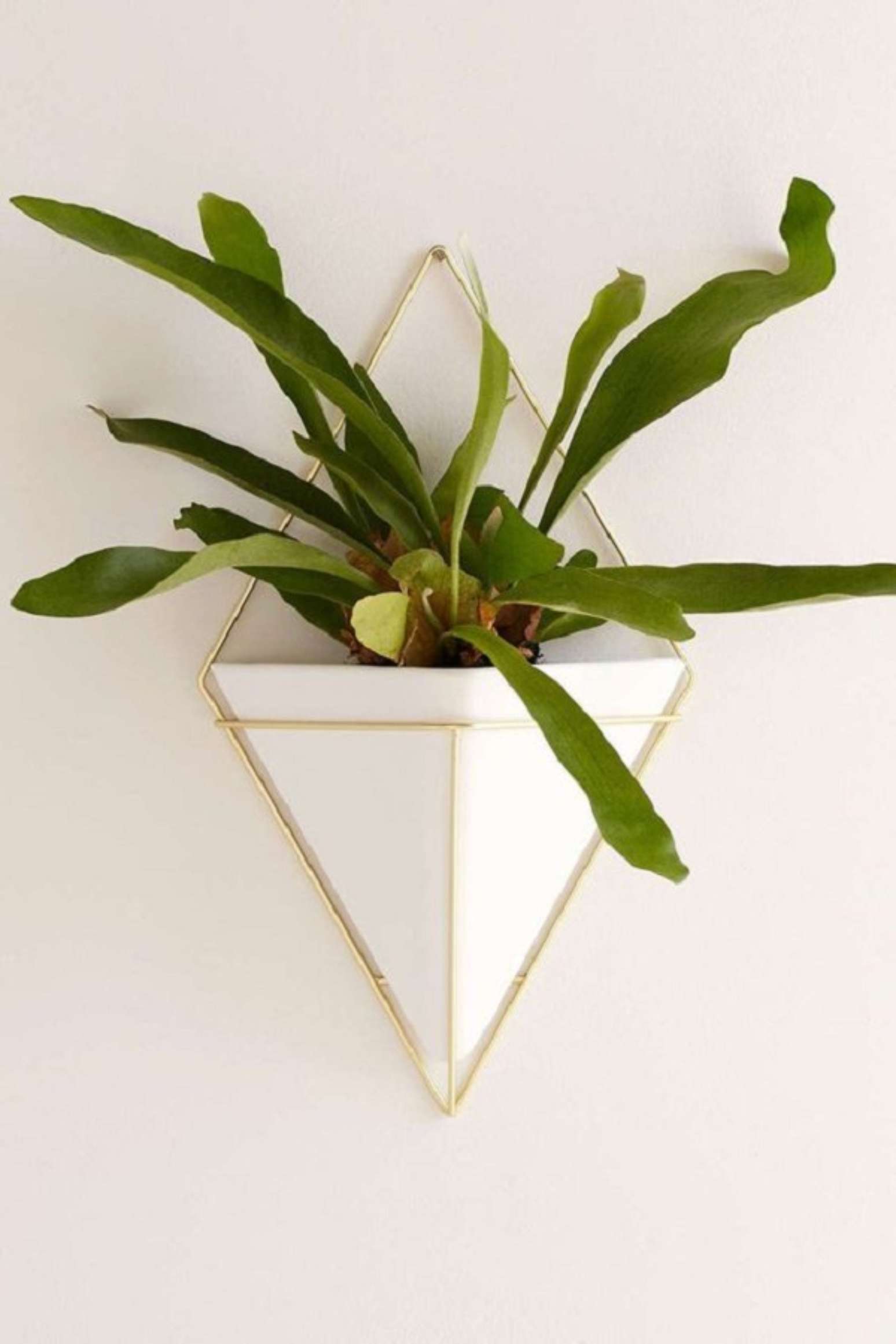 Cachepot Para Plantas: +60 Modelos Para Plantas Grandes e Pequenas