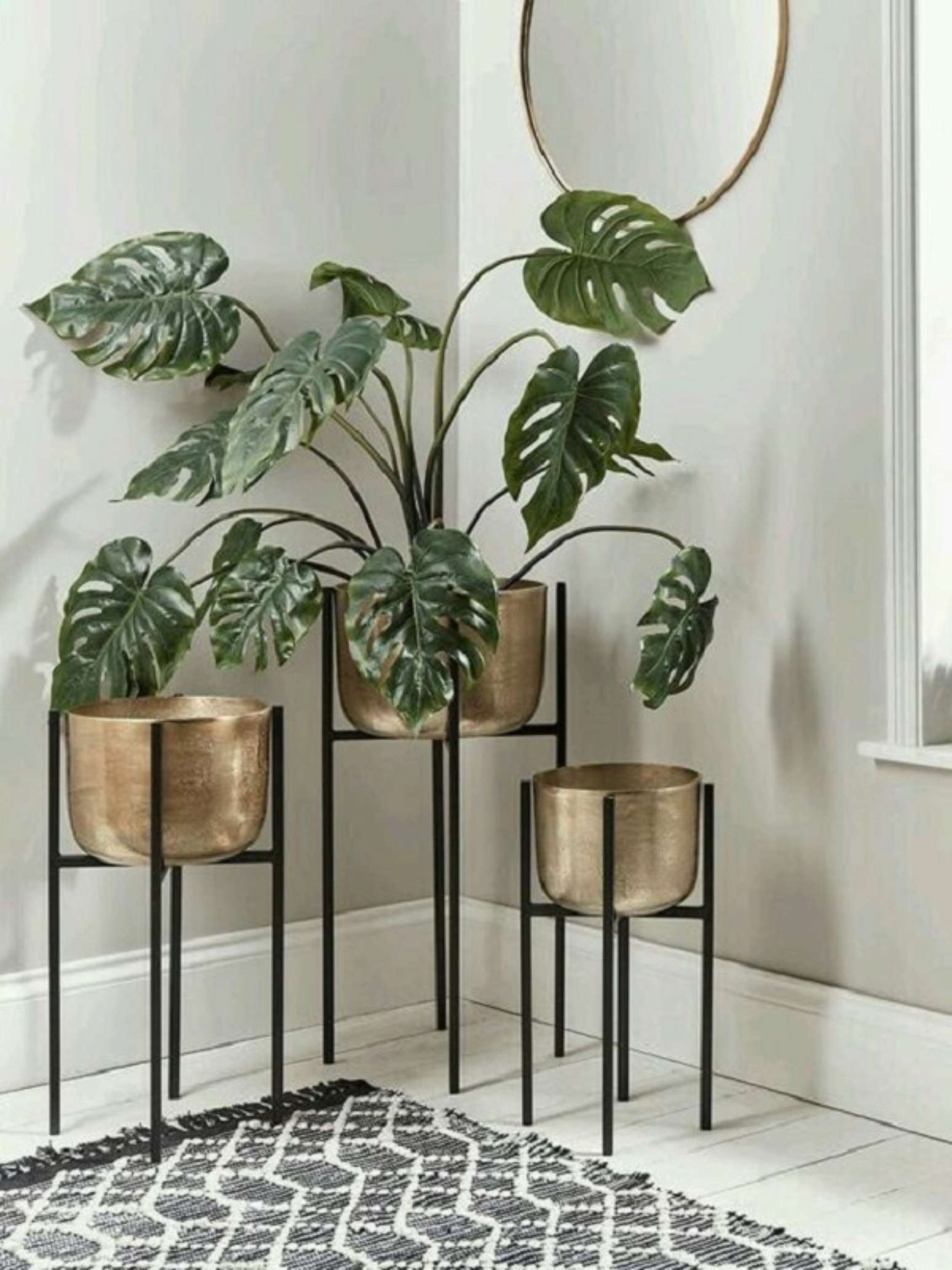 Cachepot Para Plantas: +60 Modelos Para Plantas Grandes e Pequenas