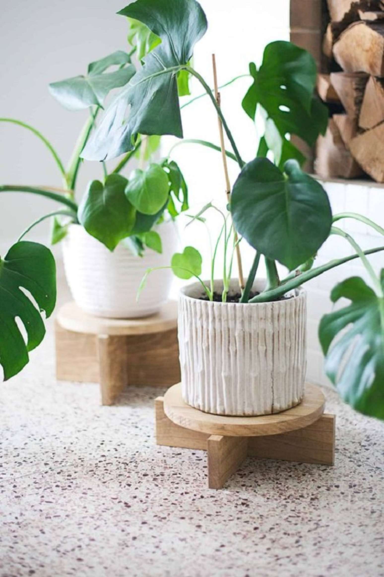 Cachepot Para Plantas: +60 Modelos Para Plantas Grandes e Pequenas